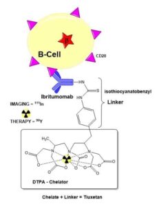Radiometals for diagnostic imaging and theranostics | Open Medscience